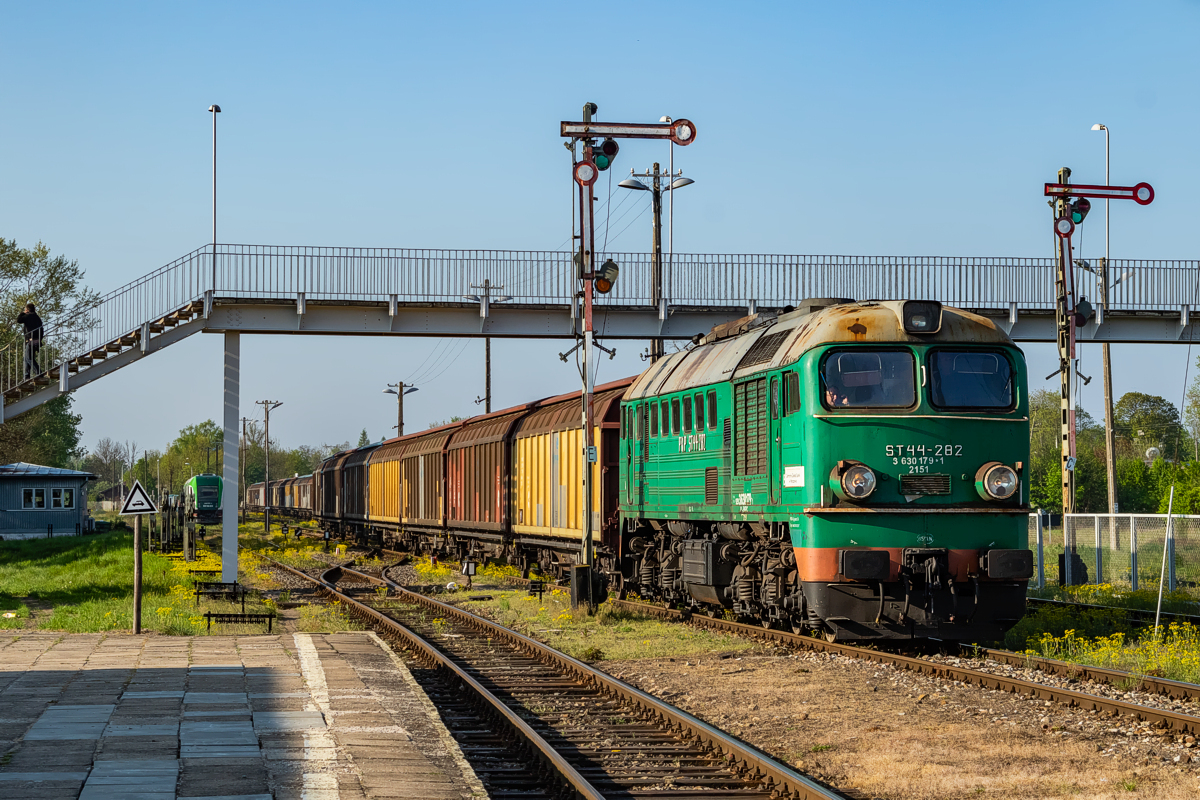 Galeria fotograficzna Mareczka